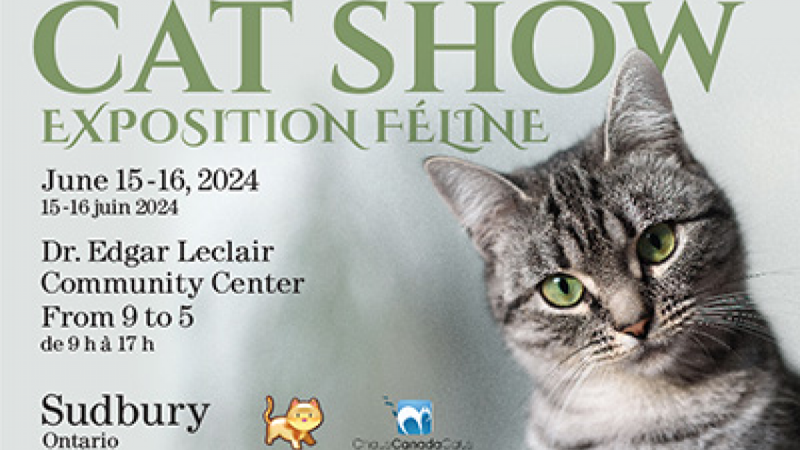 Club félin Laurentides-Lanaudière presents Sudbury Cat Show - June 15th ...