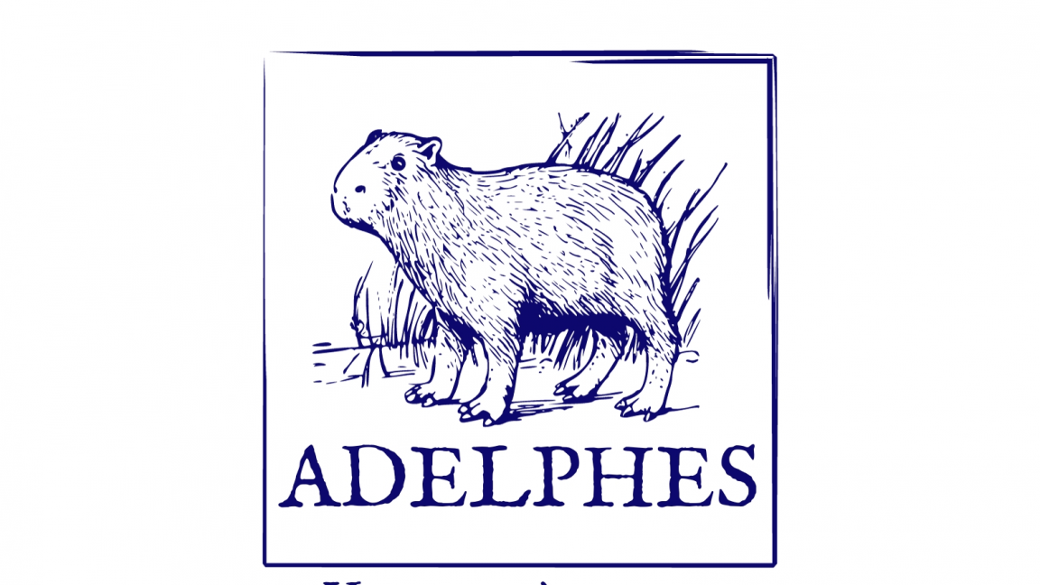 Adelphes - 16 novembre 2023 - Bar le Jockey, Montréal, QC - Lepointdevente.com