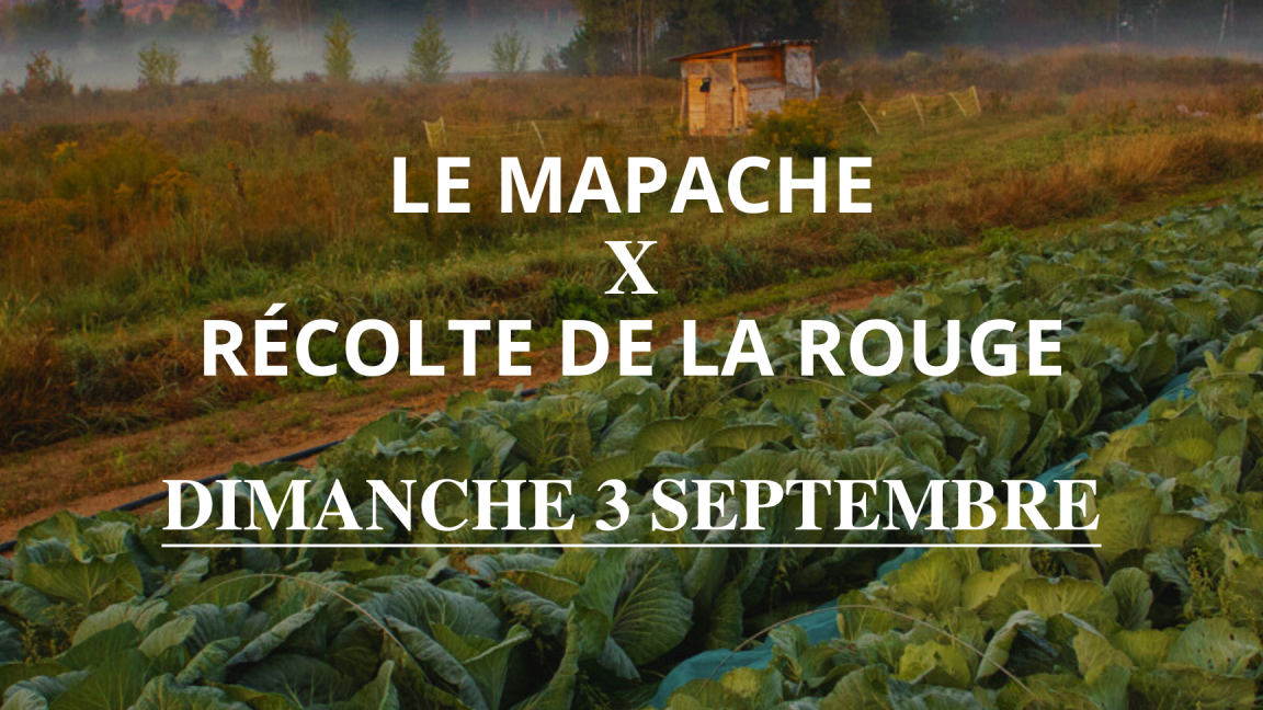 Le Mapache présente Un après-midi gourmand à la Récolte de la Rouge ...
