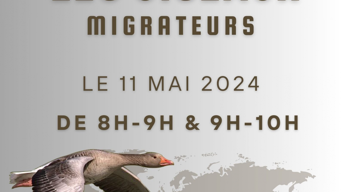 Corporation d'aménagement de la rivière Blanche de Gatineau présente Les oiseaux migrateurs - 11 ...