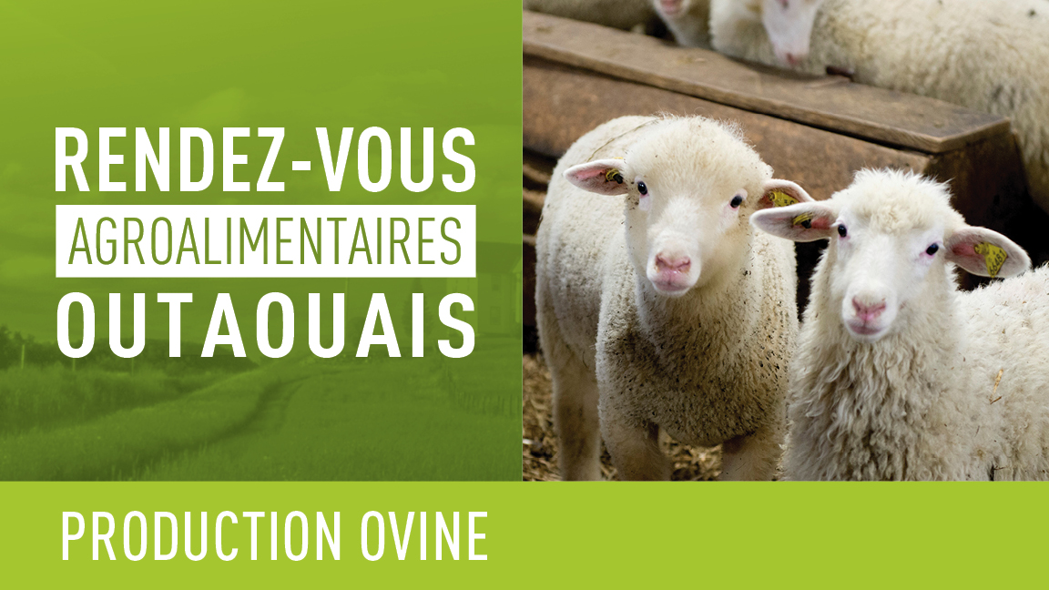 Les Rendez-vous agroalimentaires de l'Outaouais présente Sheep ...